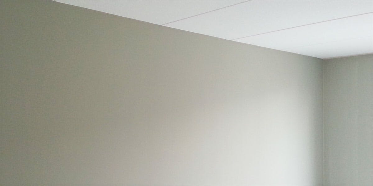 Alles wat je moet weten om je Behang te Verven [+tips]